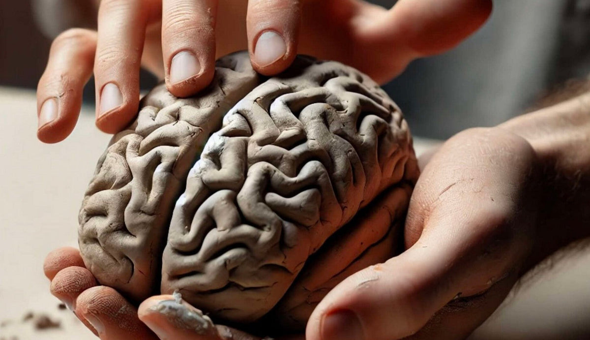 Acupuncture acts directly on the brain – AcupunctureShop