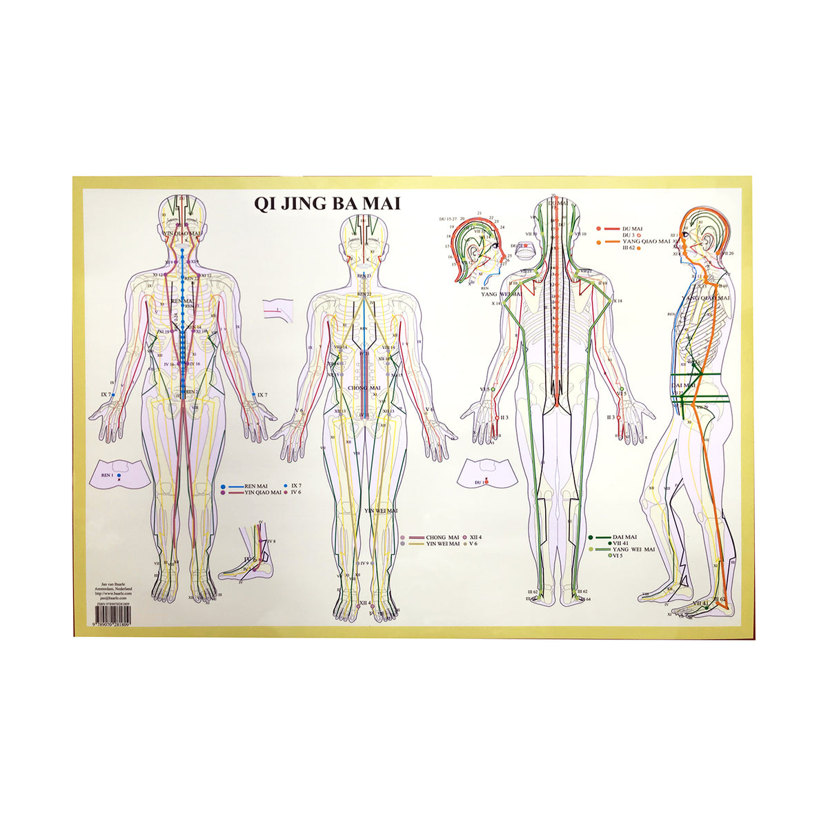 Qi Jing Ba Mai – AcupunctureShop