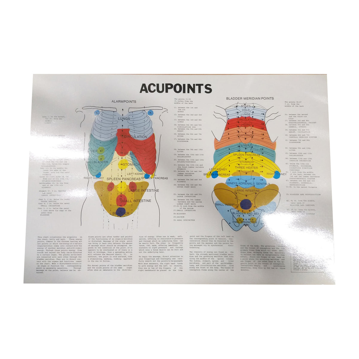 Acupoints - A2 – AcupunctureShop