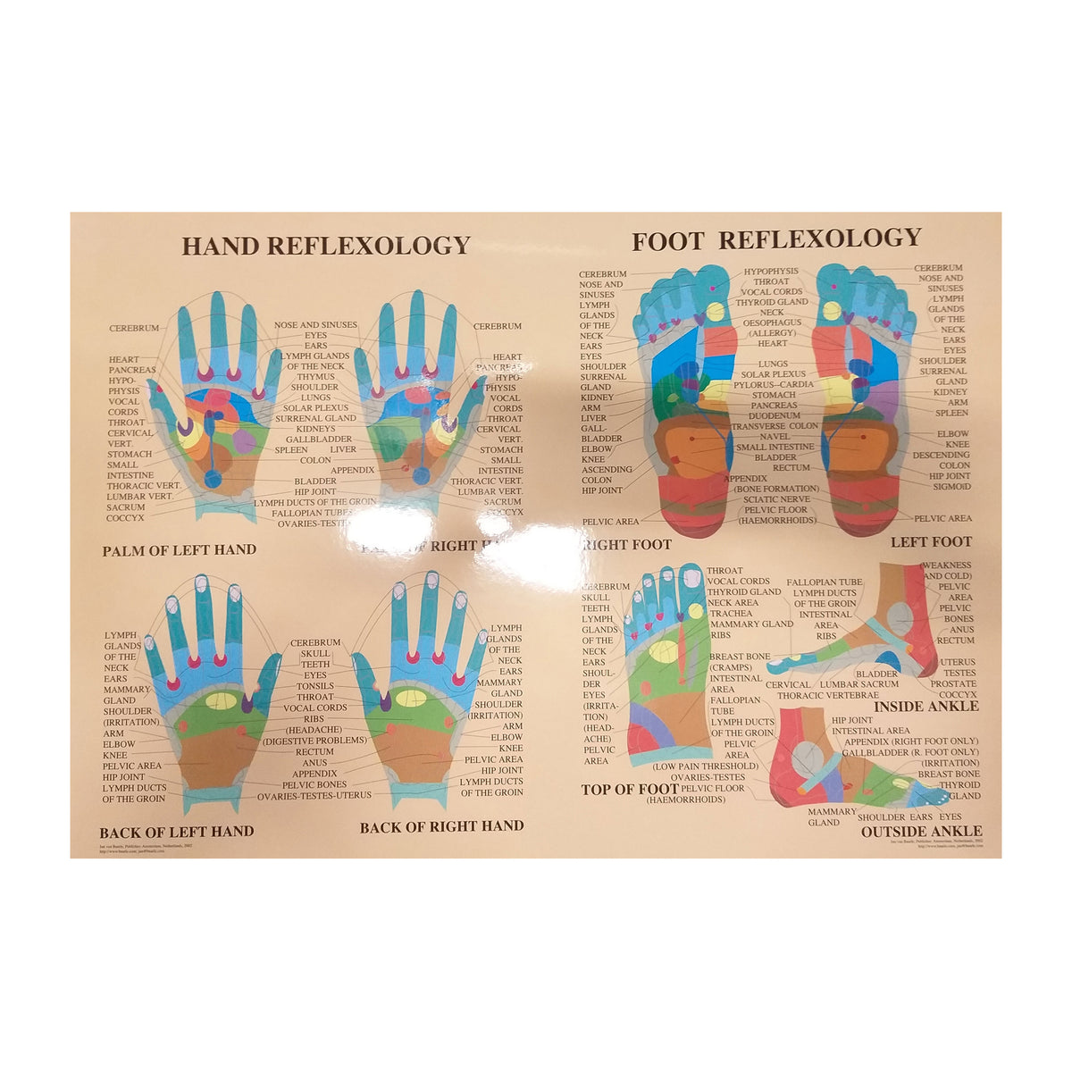 Hand and Foot Reflexology
