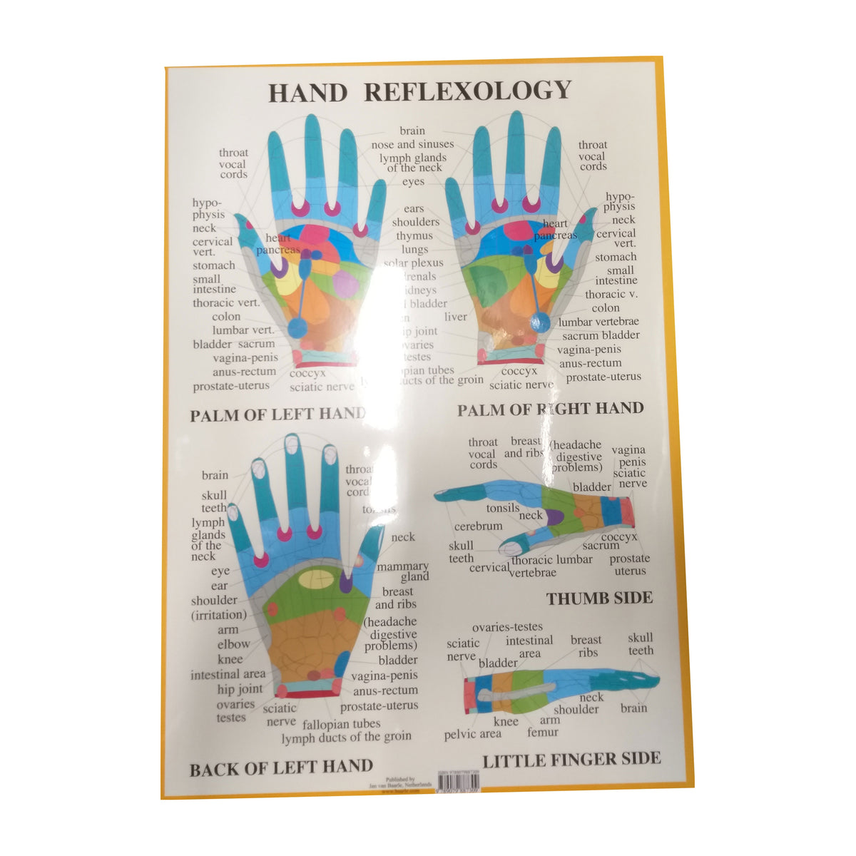 Hand Reflexology – AcupunctureShop