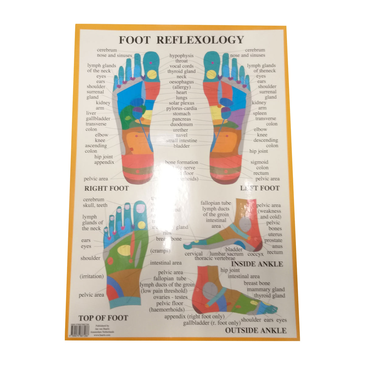 Foot Reflexology – AcupunctureShop